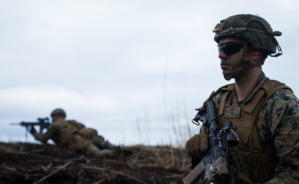 DVIDS - Images - U.S. Marines with 3/3 conduct Fuji Viper 21.3 [Image 3 ...