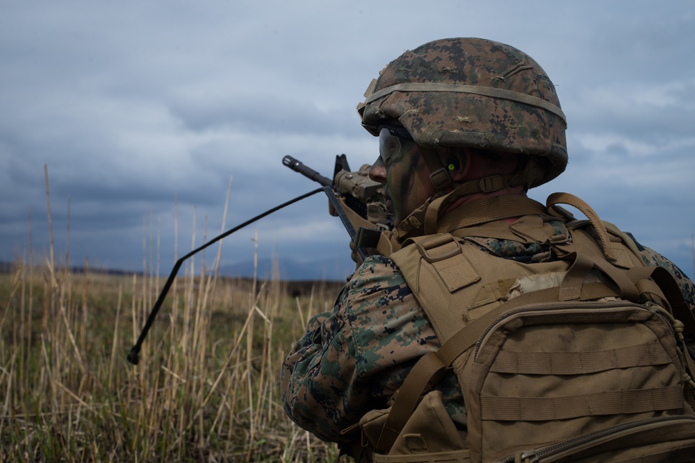 DVIDS - Images - U.S. Marines with 3/3 conduct Fuji Viper 21.3 [Image 4 ...