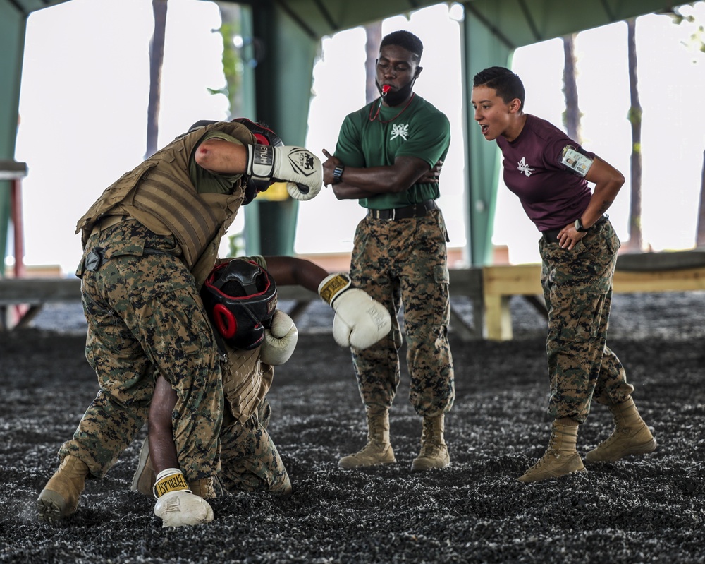 DVIDS - Images - Oscar and Bravo Company MCMAP [Image 1 of 7]