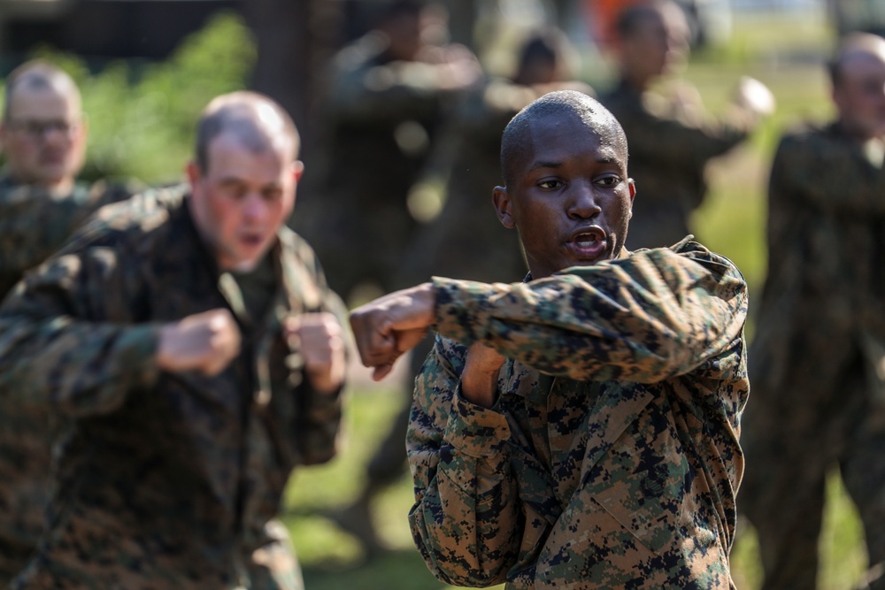 DVIDS - Images - Oscar and Bravo Company MCMAP [Image 4 of 7]