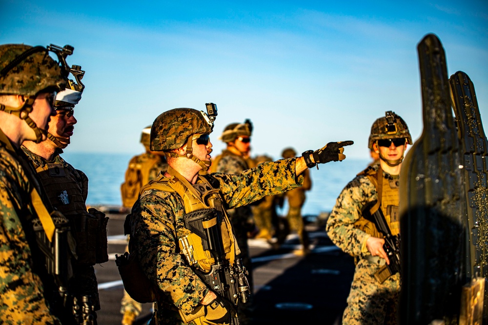 DVIDS - Images - Controlled Pair [Image 8 of 12]