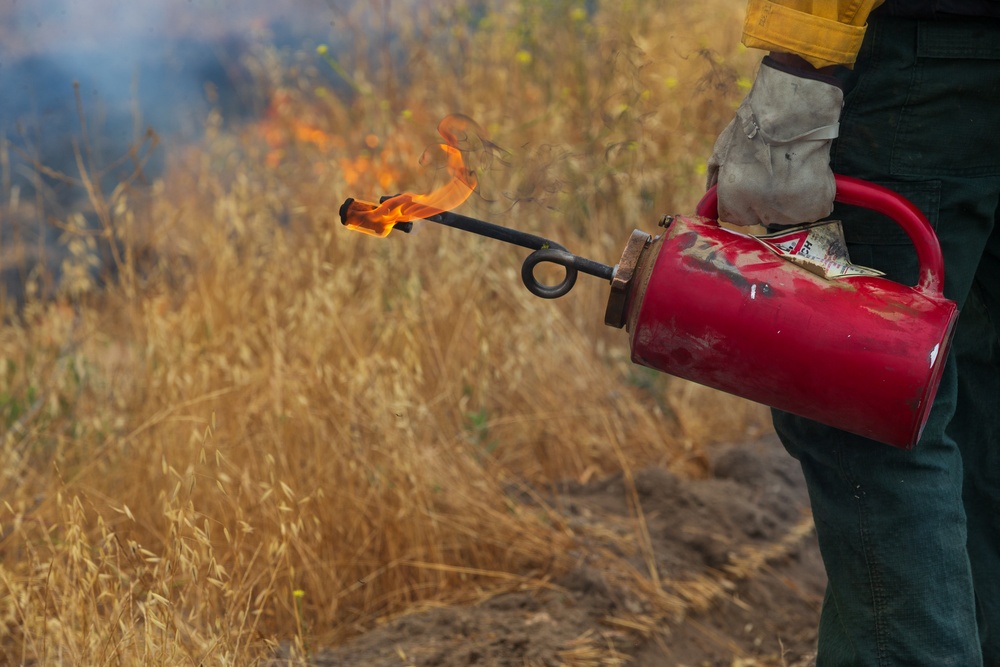 DVIDS - Images - Pendleton firefighters ignite brush during prescribed ...