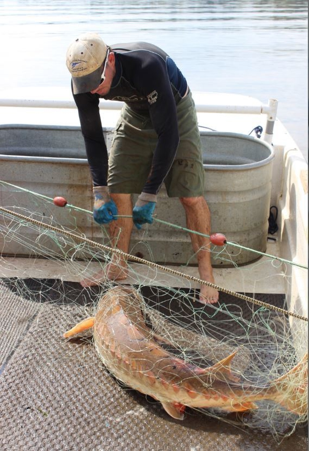 DVIDS - News - ERDC science helps USACE districts ease time-of-year ...