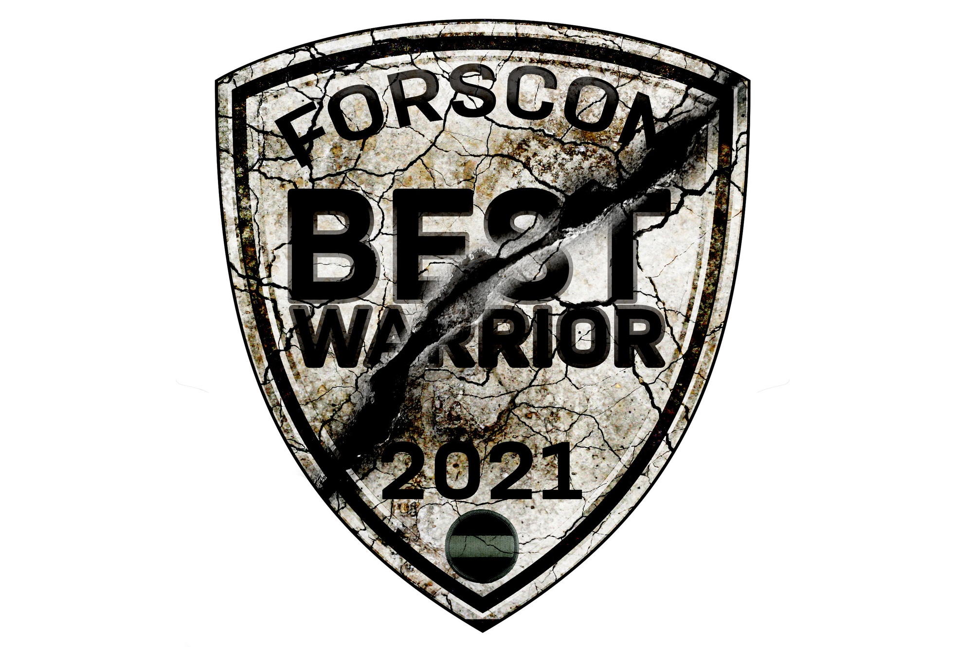 Forscom Logo Yesterday The FORSCOM SJA And I Conducted A Site Visit Of