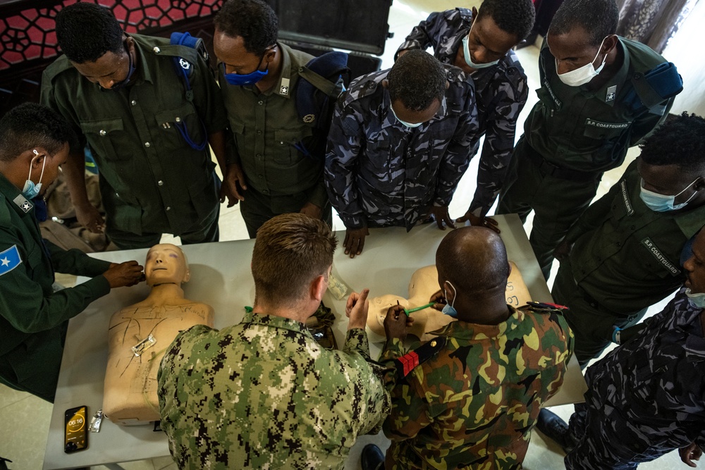 DVIDS - Images - U.S., African joint partners practice combat medicine ...