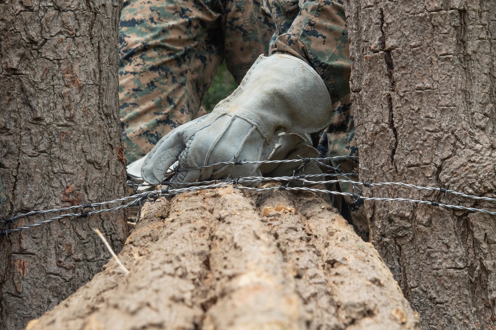 DVIDS - Images - Cobra Gold 21: U.S., Royal Thai Marines Create Counter ...