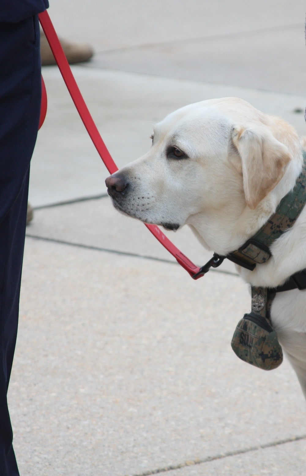 DVIDS - News - Walter Reed Bethesda Observes 20th Anniversary of 9/11