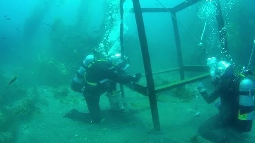 DVIDS - News - Underwater Construction Team 2 Conducts Joint Divers ...