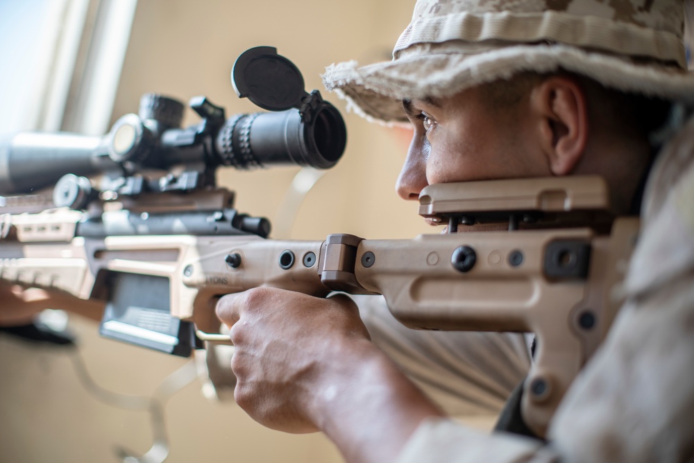 DVIDS - Images - 11th MEU ADRD conducts live-fire sniper range in ...