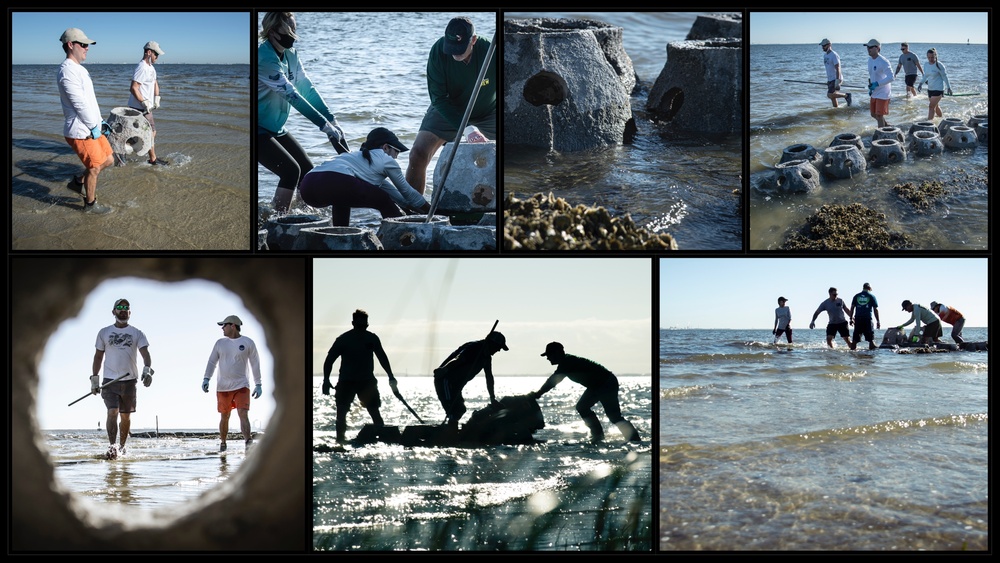 DVIDS - Images - Volunteers step up to improve MacDill’s shoreline ...