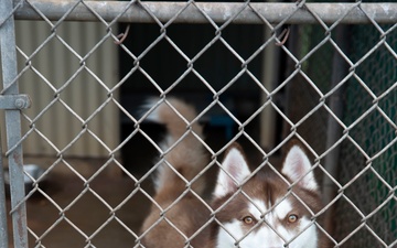 DVIDS - Task Force Ohana