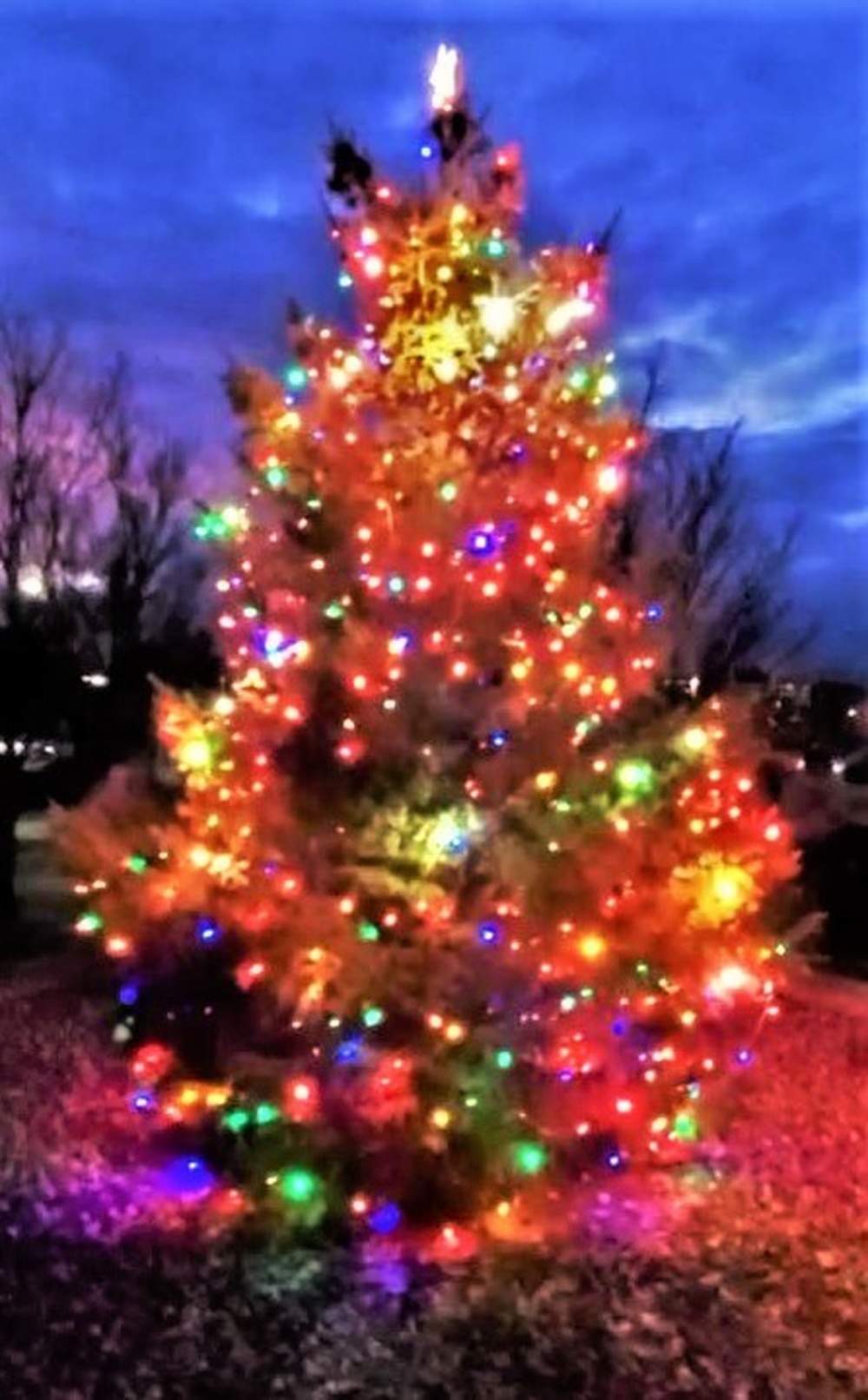 DVIDS - News - Photo Essay: Fort McCoy holds 2021 Tree Lighting Ceremony