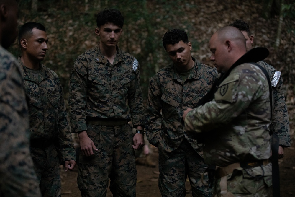 DVIDS - Images - Best by Test DIVARTY competition [Image 11 of 19]