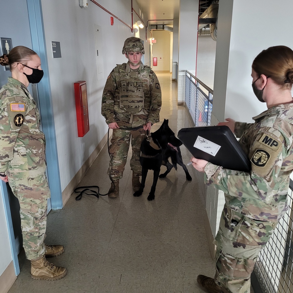 DVIDS - News - Validation process tests Fort Drum Military Working Dog ...