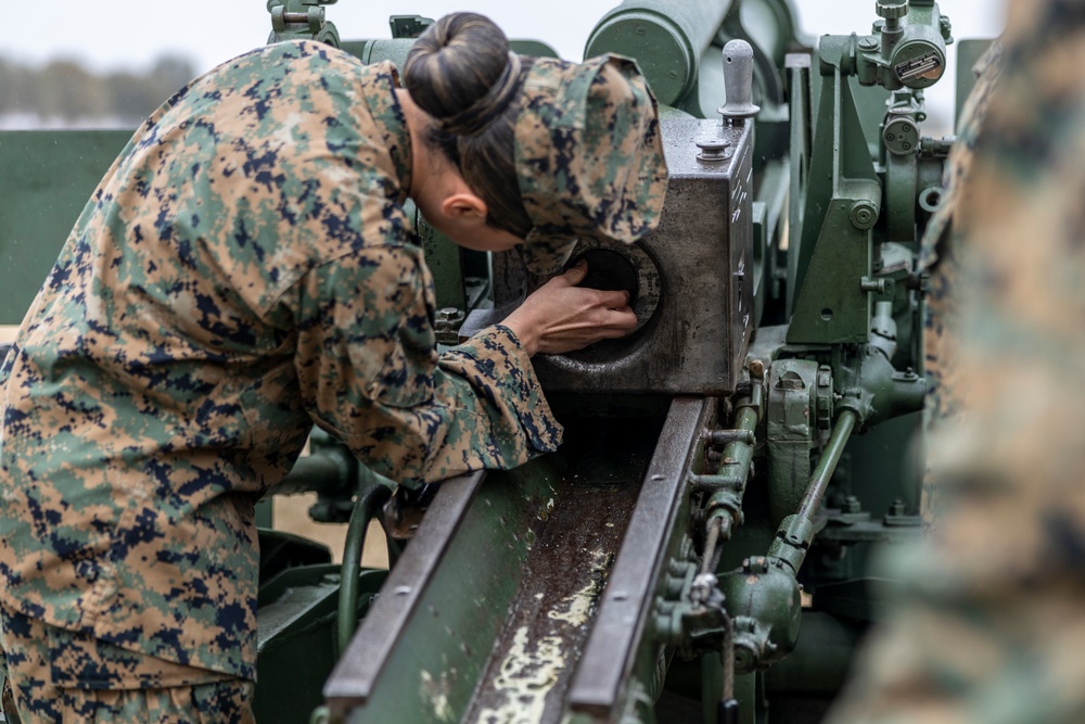 DVIDS - Images - MCB Camp Lejeune President's Day 21-Gun Salute [Image ...