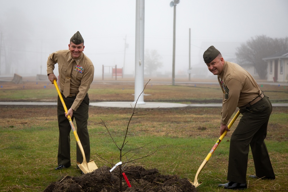 DVIDS - Images - Tree Planting [Image 2 of 6]