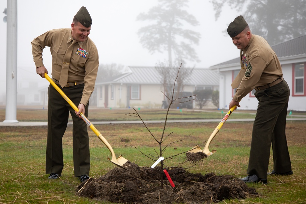 DVIDS - Images - Tree Planting [Image 5 of 6]