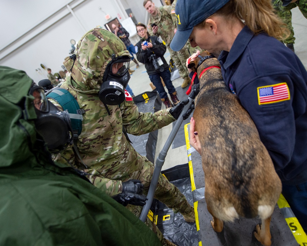 DVIDS - Images - Ex Arctic Eagle-Patriot 22 - Anchorage, Alaska [Image ...