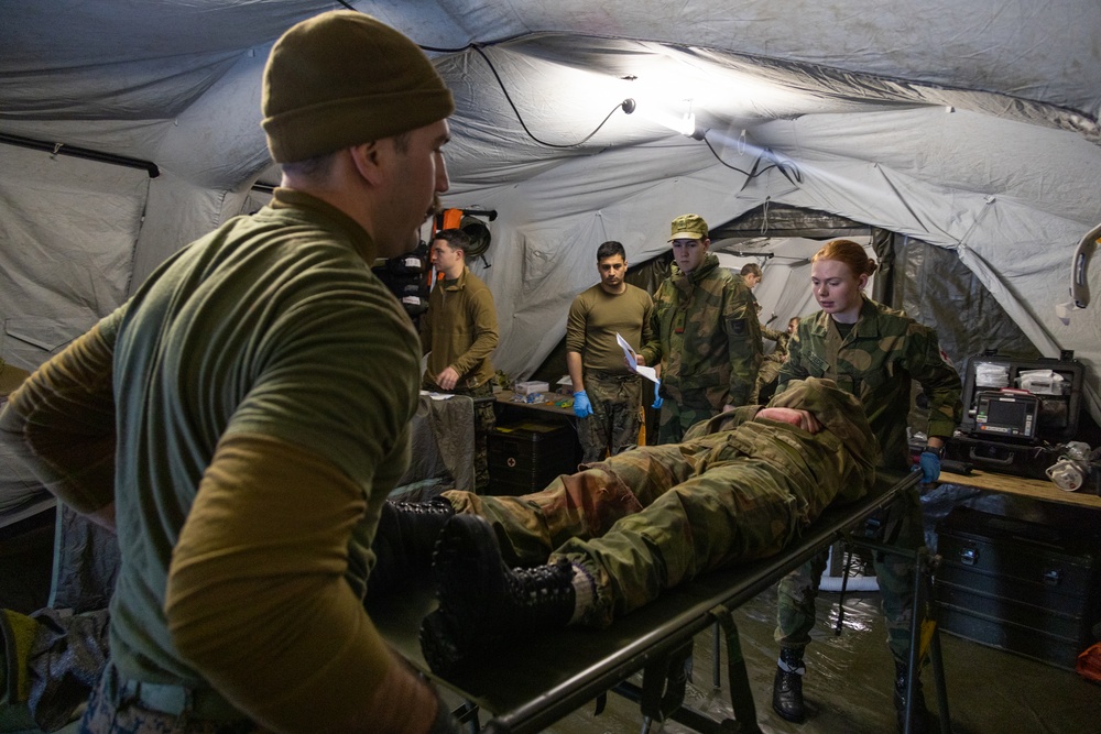 DVIDS - Images - NATO Allies and Partners Integrate in Medical Training ...