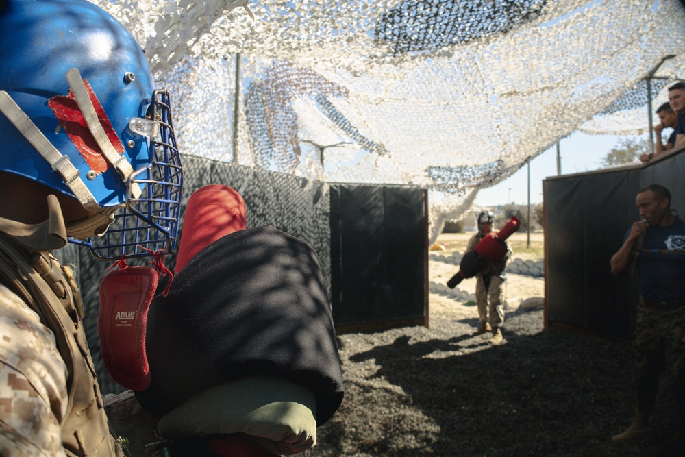 DVIDS - Images - Mike Company MCMAP [Image 15 of 15]