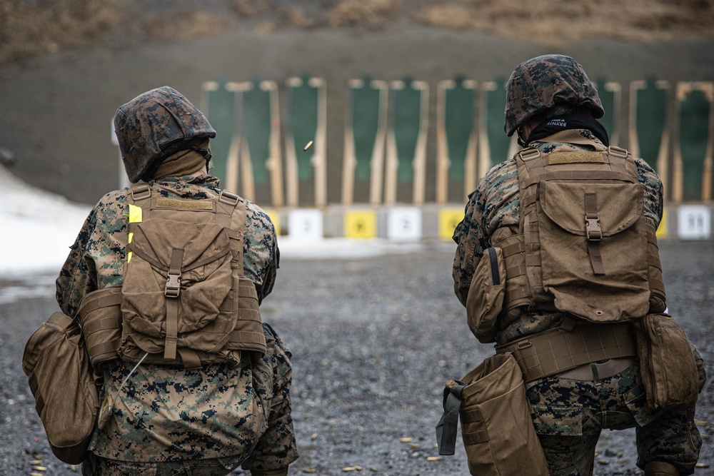 DVIDS - Images - Exercise Cold Response 2022 Live-Fire Range [Image 10 ...