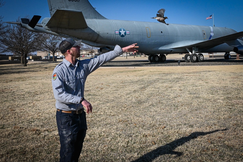DVIDS - Images - AAFB Airmen improve BASH, flight safety with bird ...