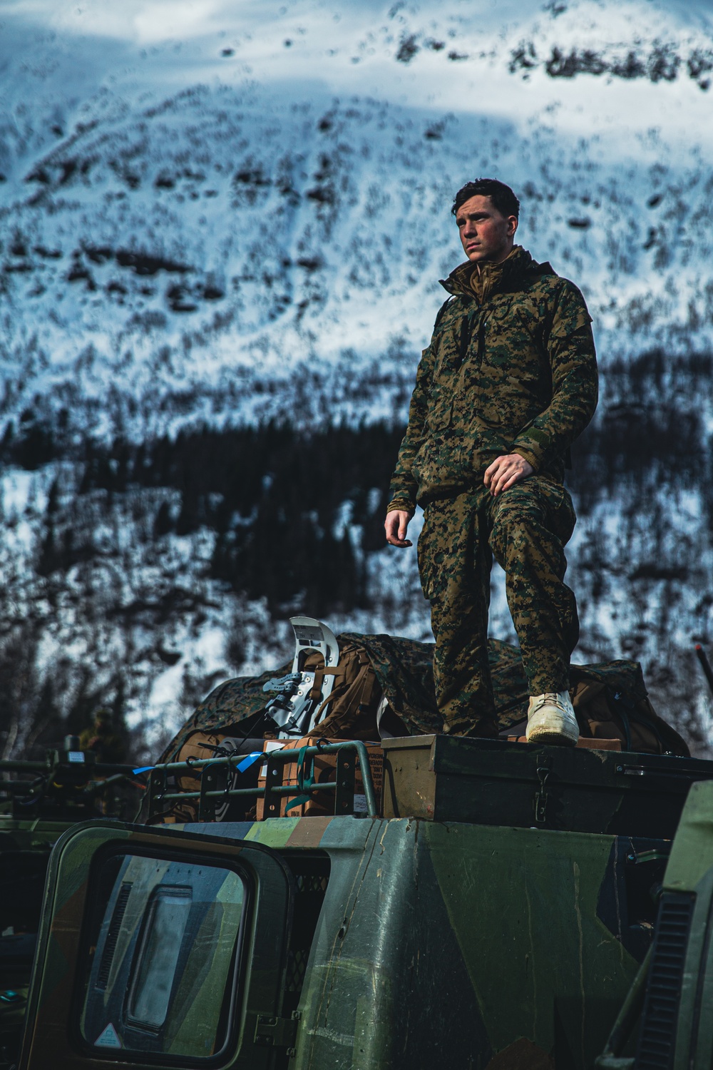 DVIDS - Images - U.S. Marines Conduct a Movement to Contact [Image 2 of 4]