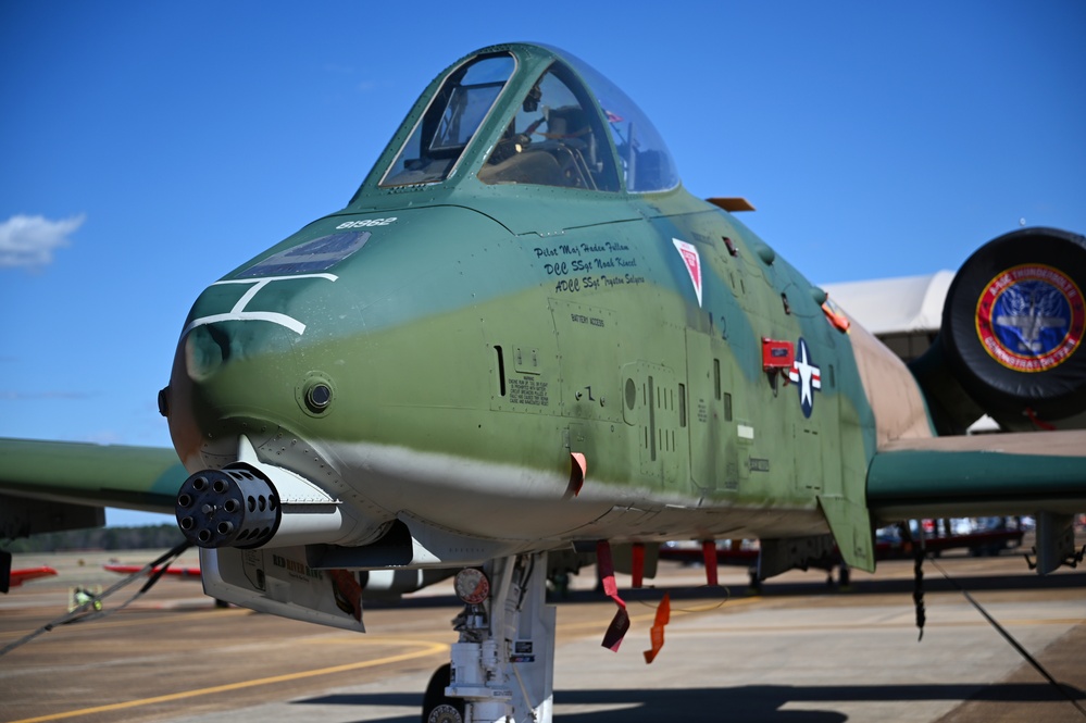 DVIDS - Images - A-10 static [Image 3 of 3]