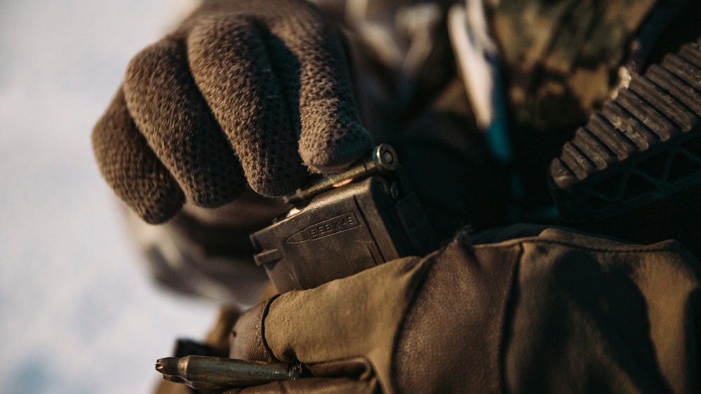 DVIDS - Images - 3/6 Completes Final Event of Exercise Cold Response 22 ...