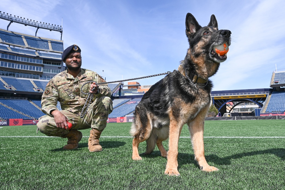 DVIDS - Images - SFS retires military working dog [Image 2 of 5]