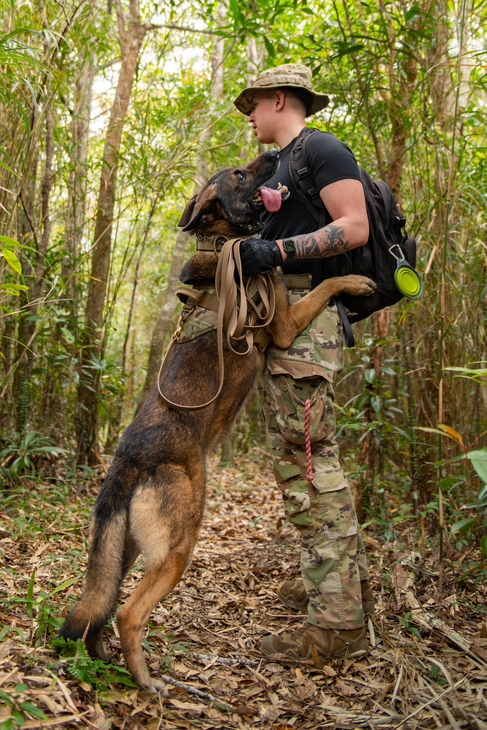 DVIDS - Images - Joint jungle extract: Airmen, Marines train SERE ...