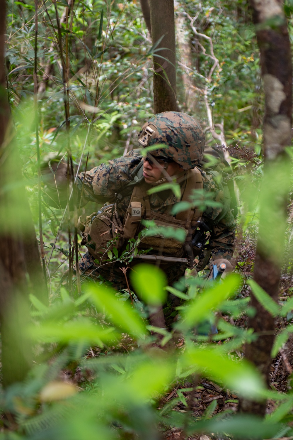 DVIDS - Images - Joint jungle extract: Airmen, Marines train SERE ...