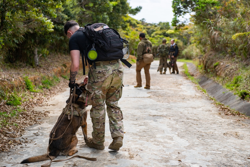 DVIDS - Images - Joint jungle extract: Airmen, Marines train SERE ...