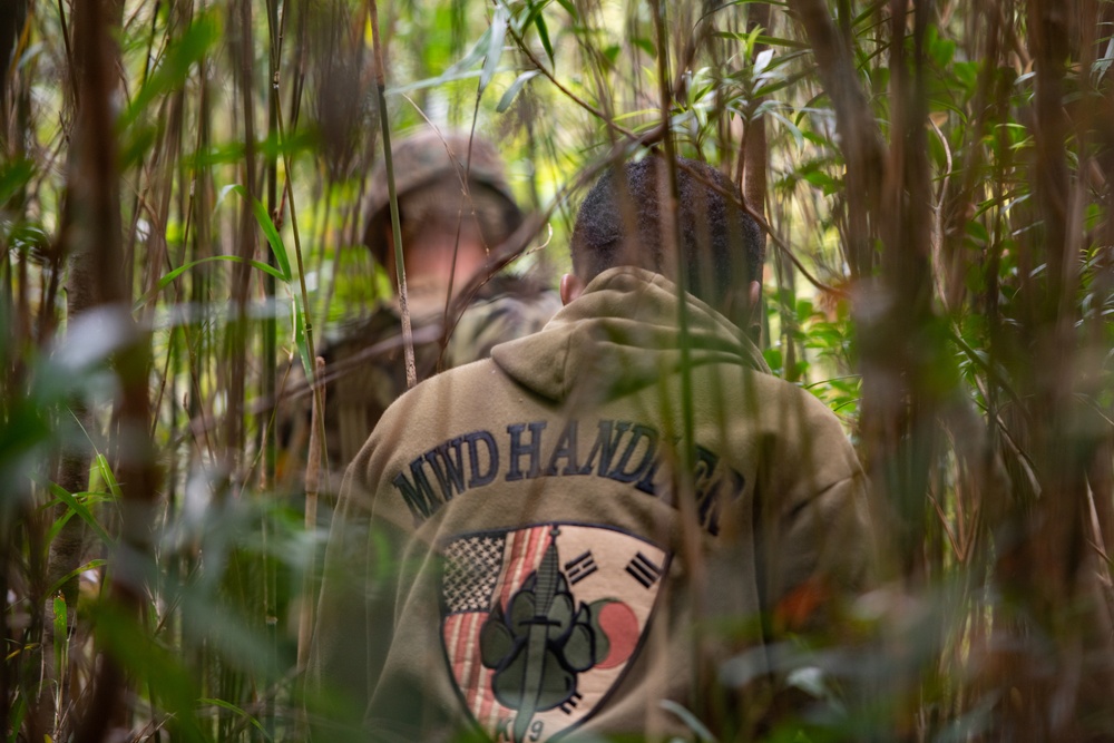 DVIDS - Images - Joint jungle extract: Airmen, Marines train SERE ...