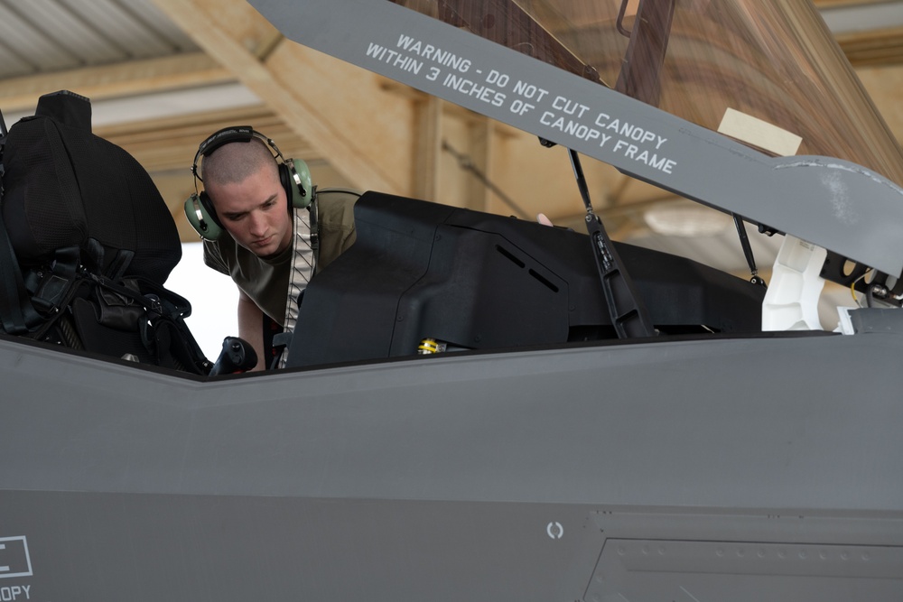 DVIDS - Images - Exercise Agile Tiger [Image 12 of 12]