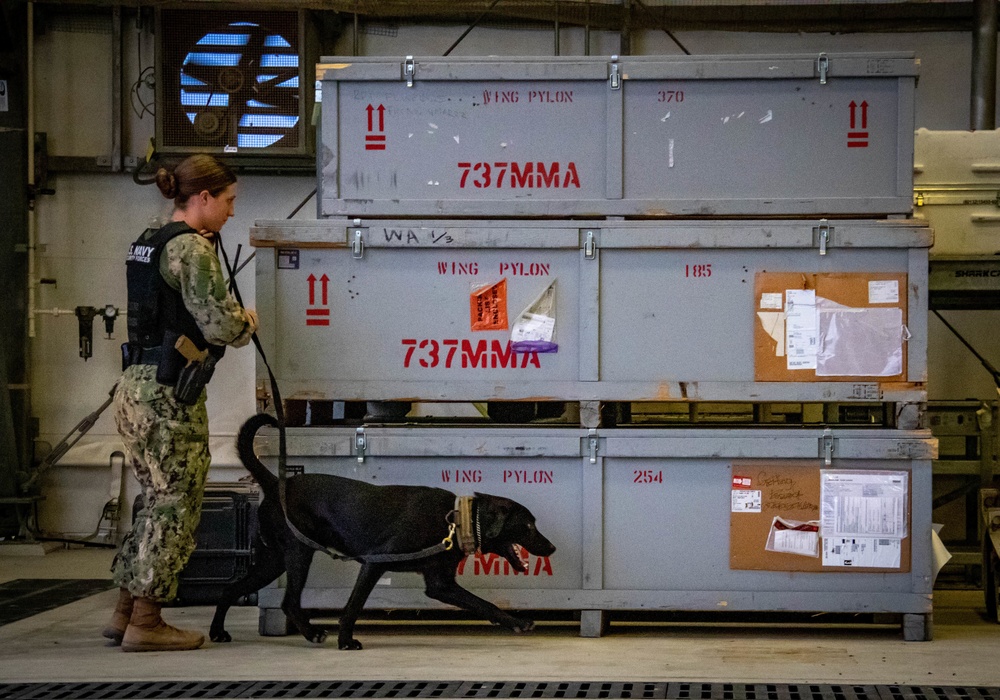 DVIDS - Images - NSA Bahrain Military working dogs [Image 3 of 3]