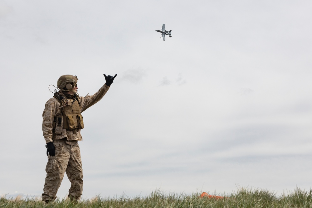DVIDS - Images - Marines Conduct Maneuvers During Close Air Support ...