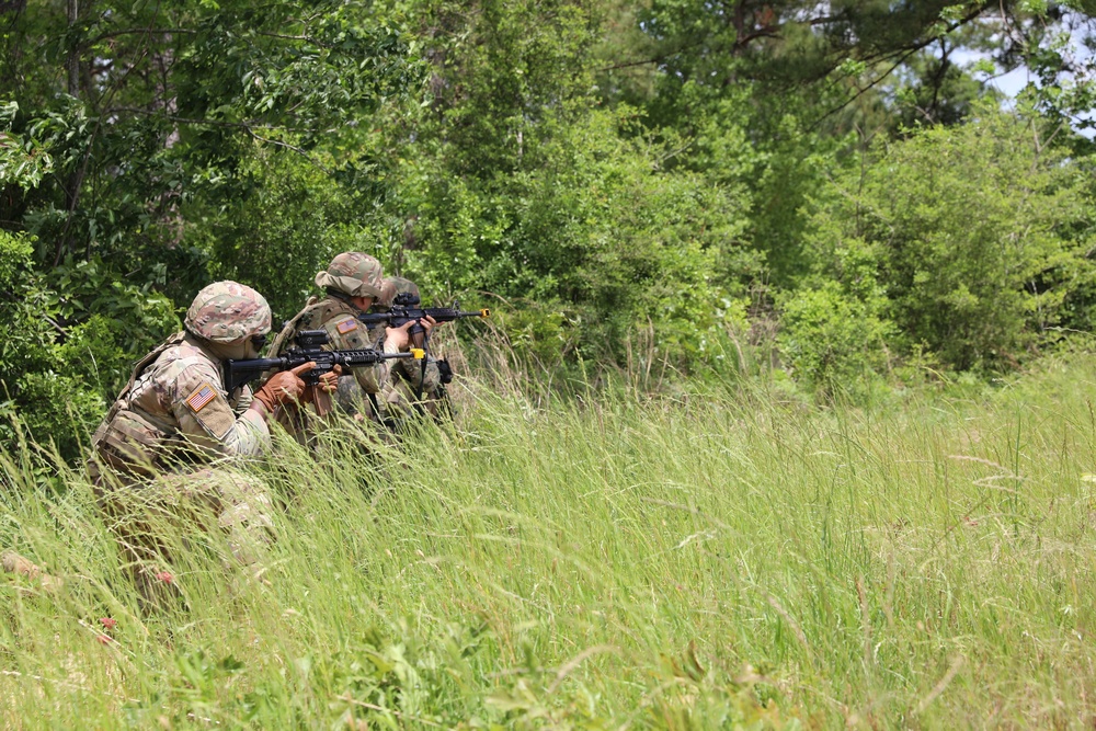 DVIDS - Images - Rally in the Tree Line [Image 1 of 7]