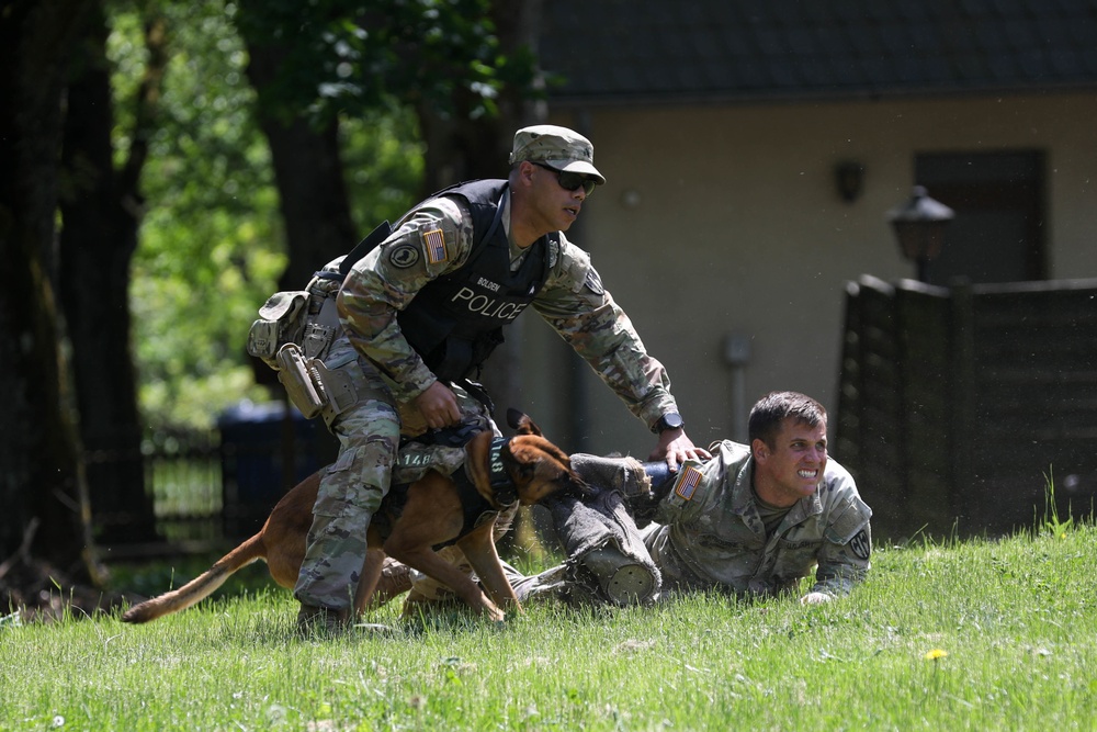 DVIDS - Images - Soldier and K9 conduct patrol stop in 2022 ...