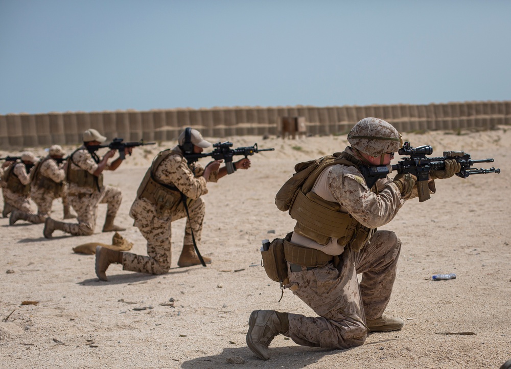 DVIDS - Images - Neon Defender 22 Bilateral Live Fire Range [Image 1 of 2]