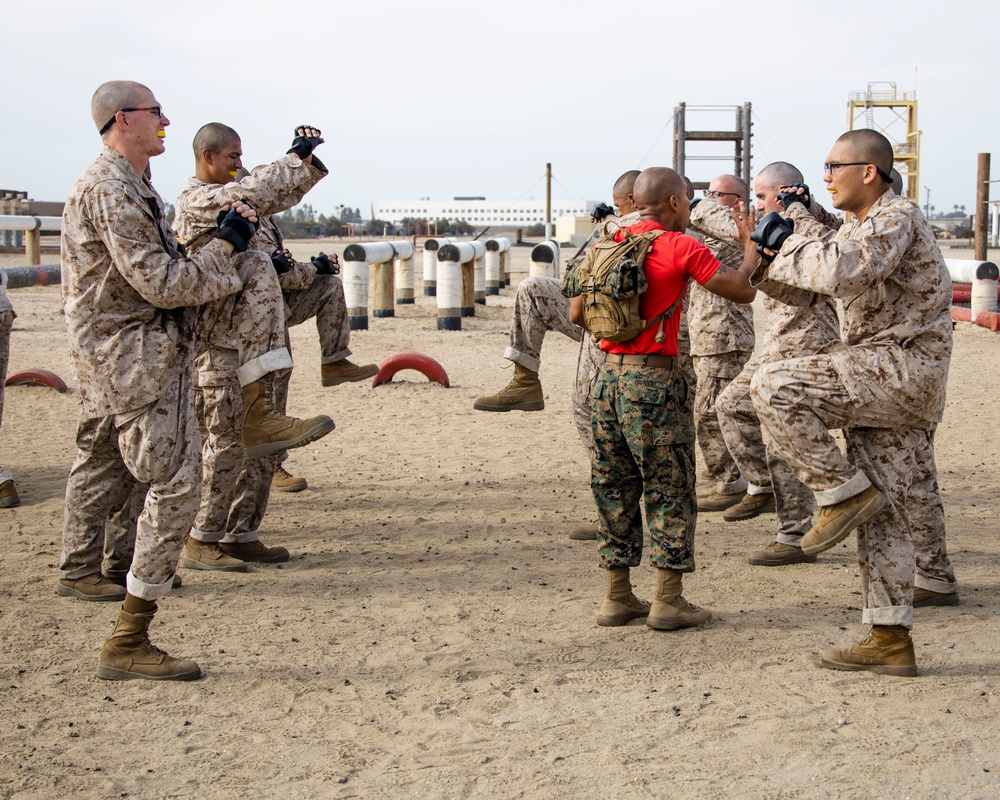 DVIDS - Images - Delta Company Combat Conditioning Course [Image 2 of 5]