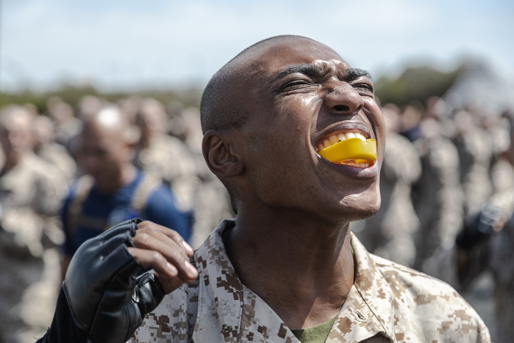 DVIDS - Images - Mike Company MCMAP [Image 8 of 10]