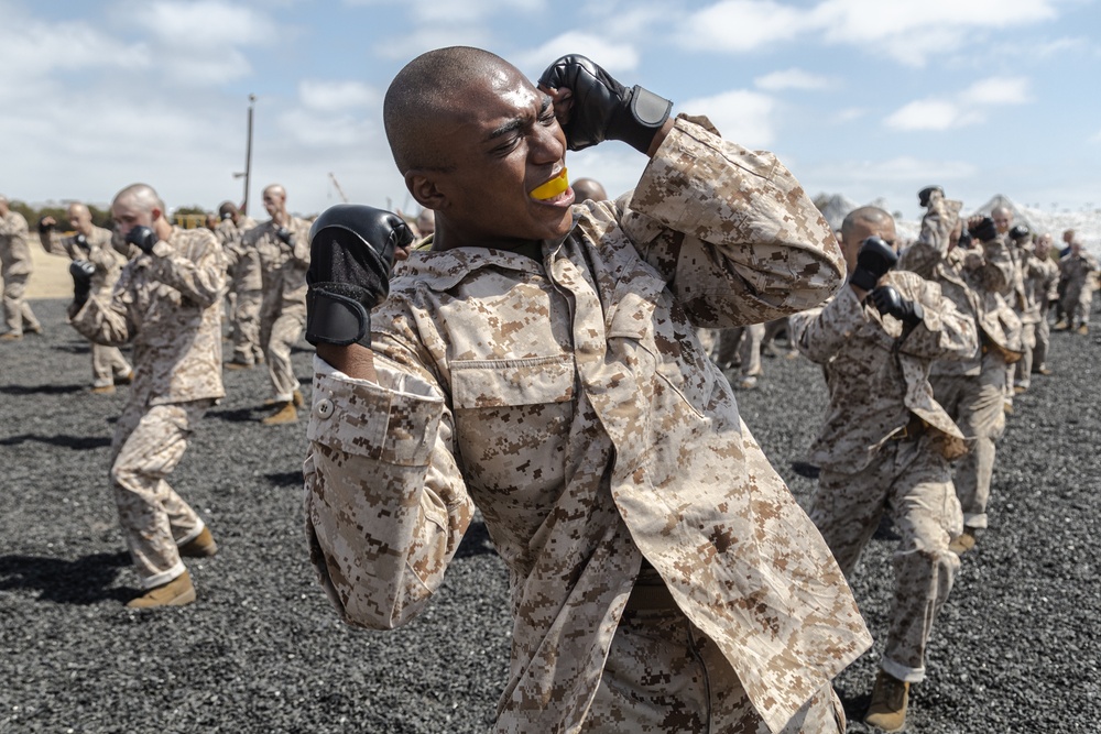 DVIDS - Images - Mike Company MCMAP [Image 9 of 10]