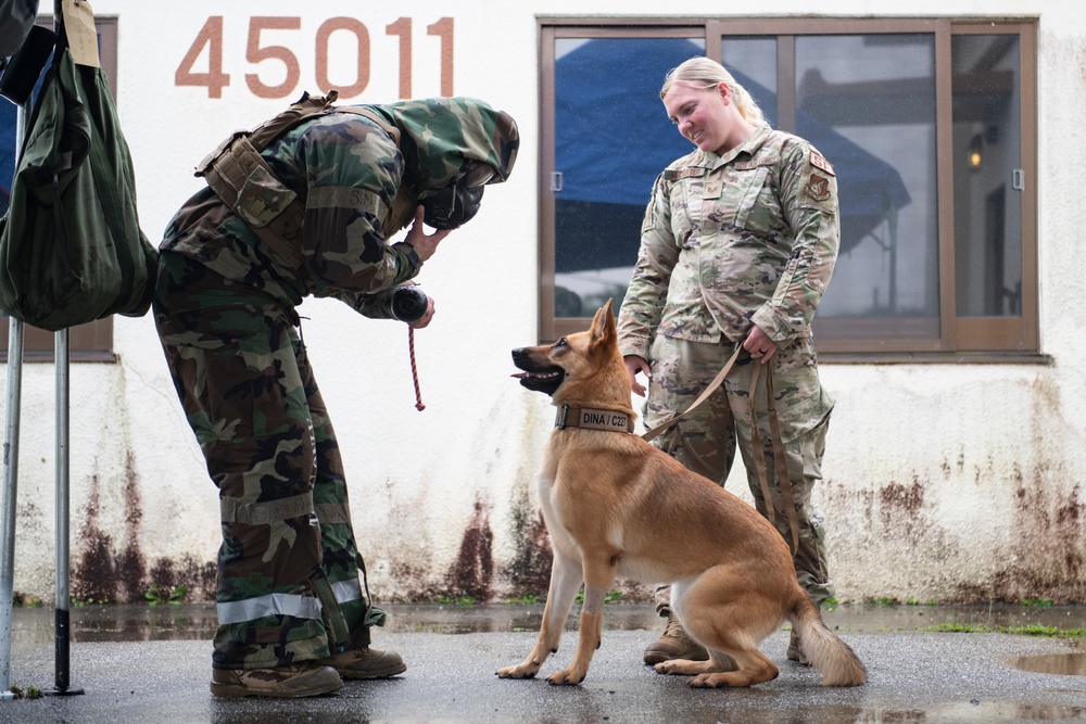 DVIDS - Images - Okinawa veterinarians perform MWD joint readiness ...