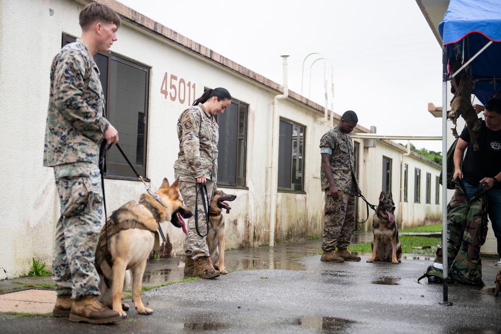 DVIDS - Images - Okinawa veterinarians perform MWD joint readiness ...