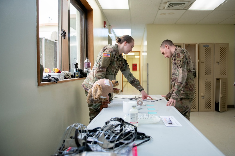 DVIDS - Images - Okinawa veterinarians perform MWD joint readiness ...