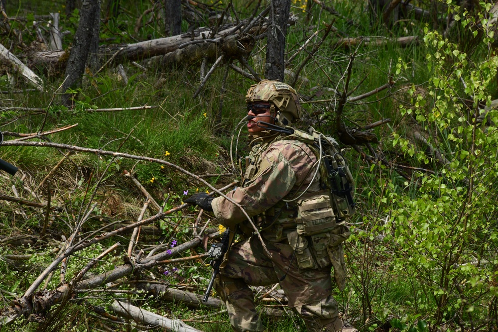DVIDS - Images - 3/2CR Platoon Live Fire Exercise [Image 6 of 7]