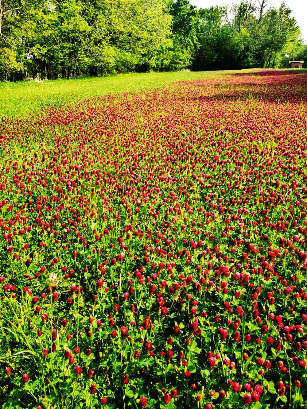 DVIDS - Images - USACE Tulsa District creating sustainable habitat for ...