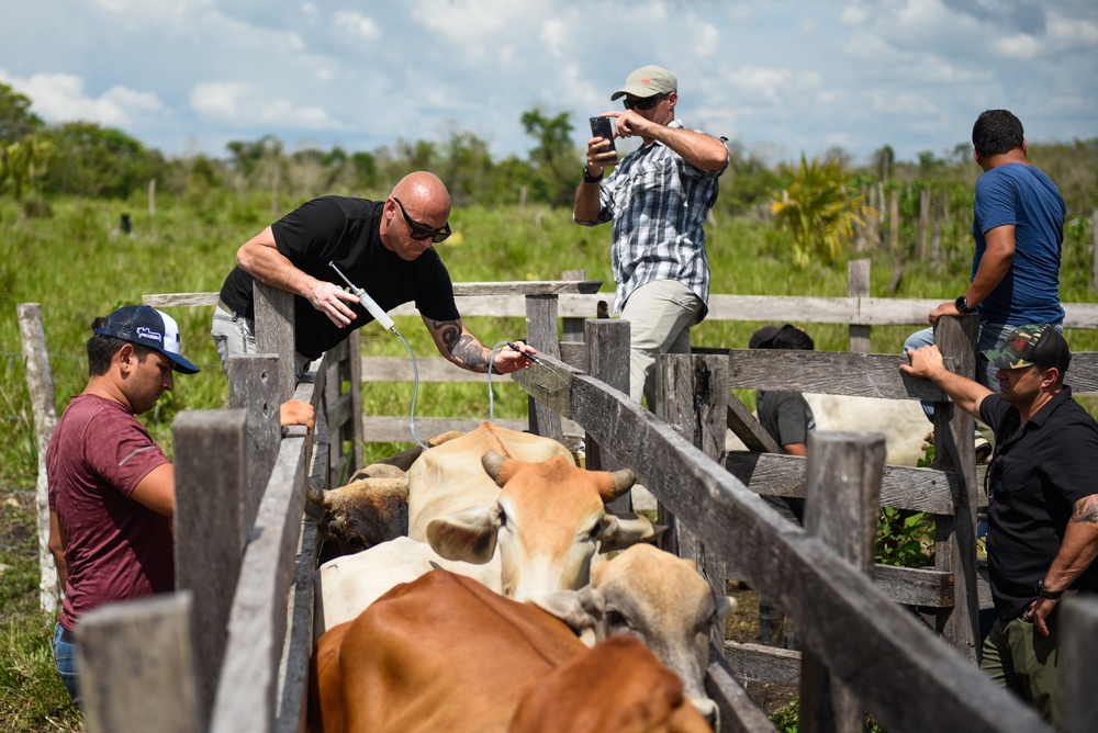 DVIDS - Images - Resolute Sentinel 22: U.S. Veterinarians vaccinate ...