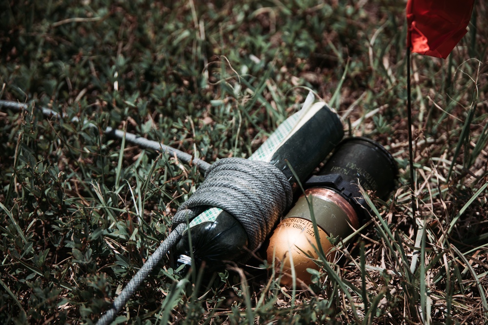 DVIDS - Images - U.S. Marines conduct explosive ordnance disposal BRAAT ...